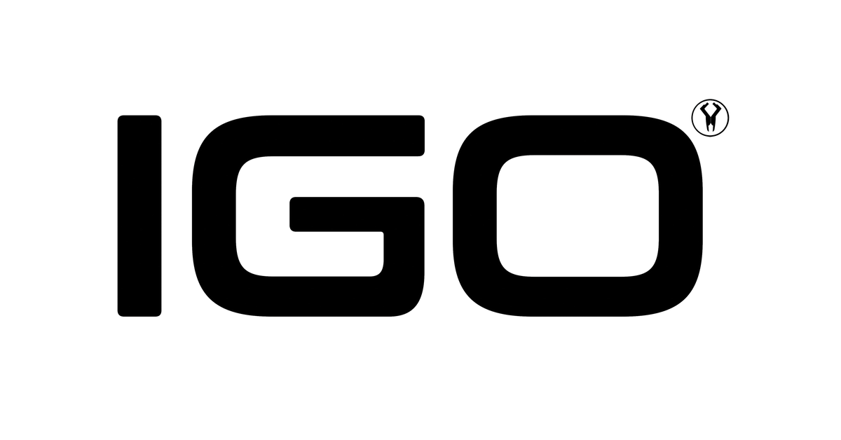 Process – igo____igo